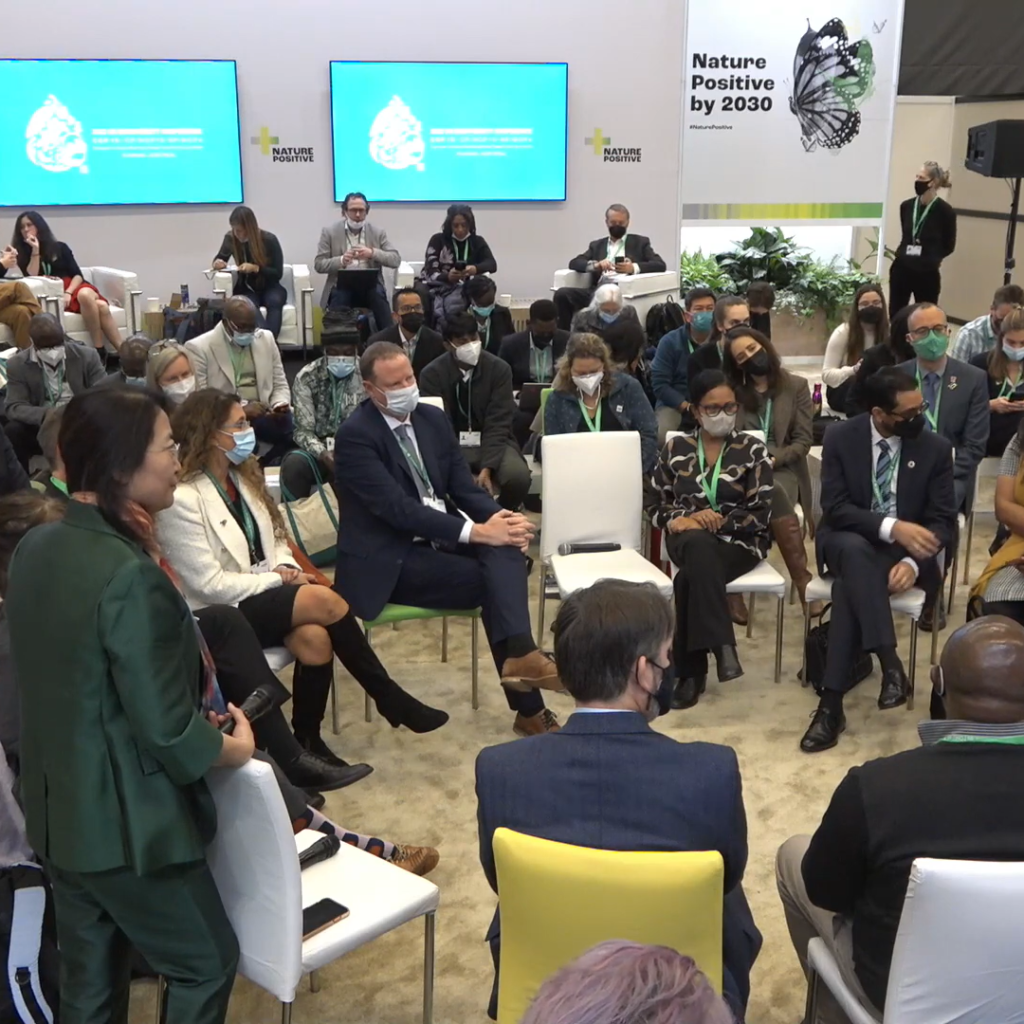 What are the Expectations for a Strong COP15 Outcome? - Africa ...